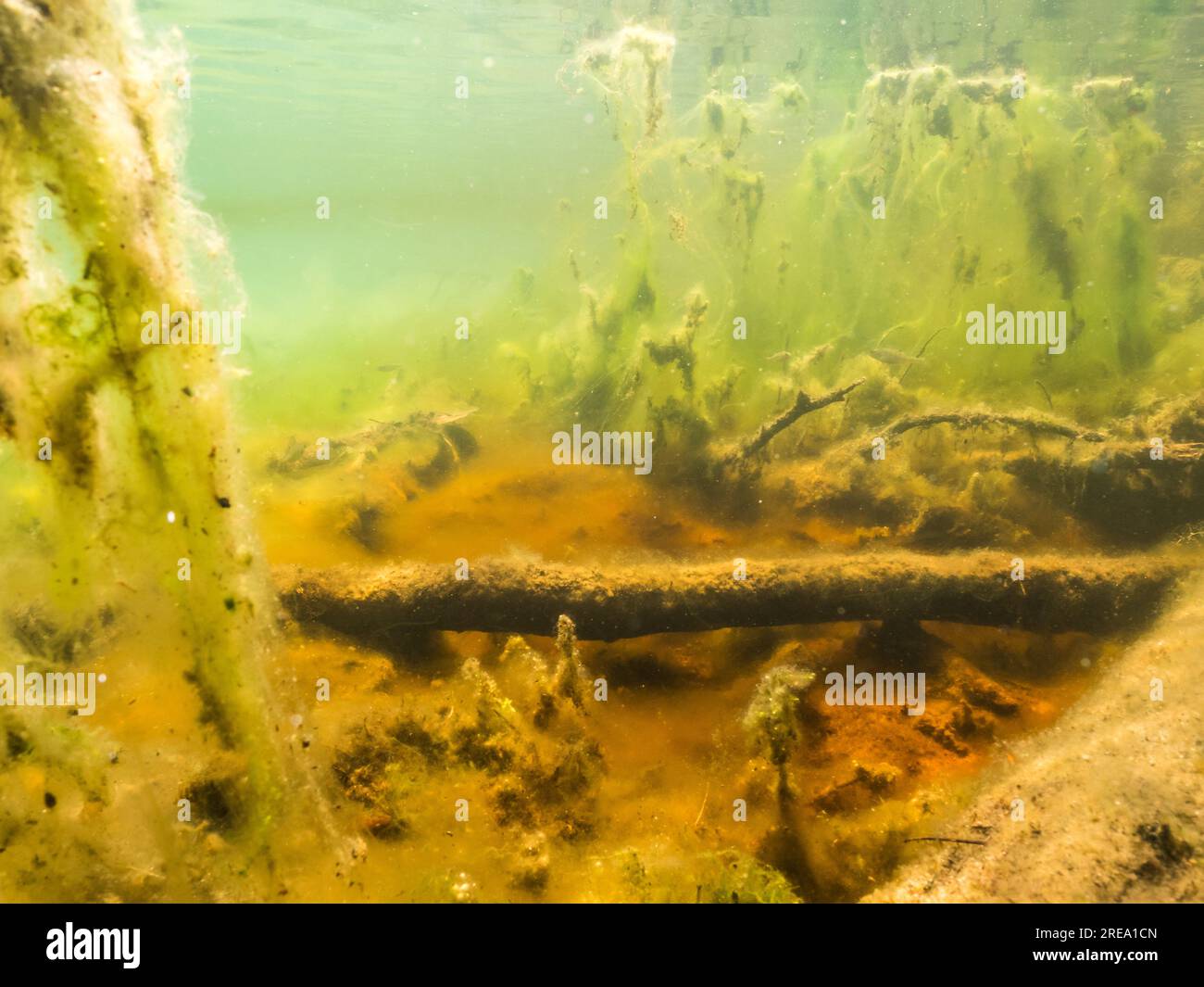 Lake botton with colourful iron and algae sediment Stock Photo - Alamy