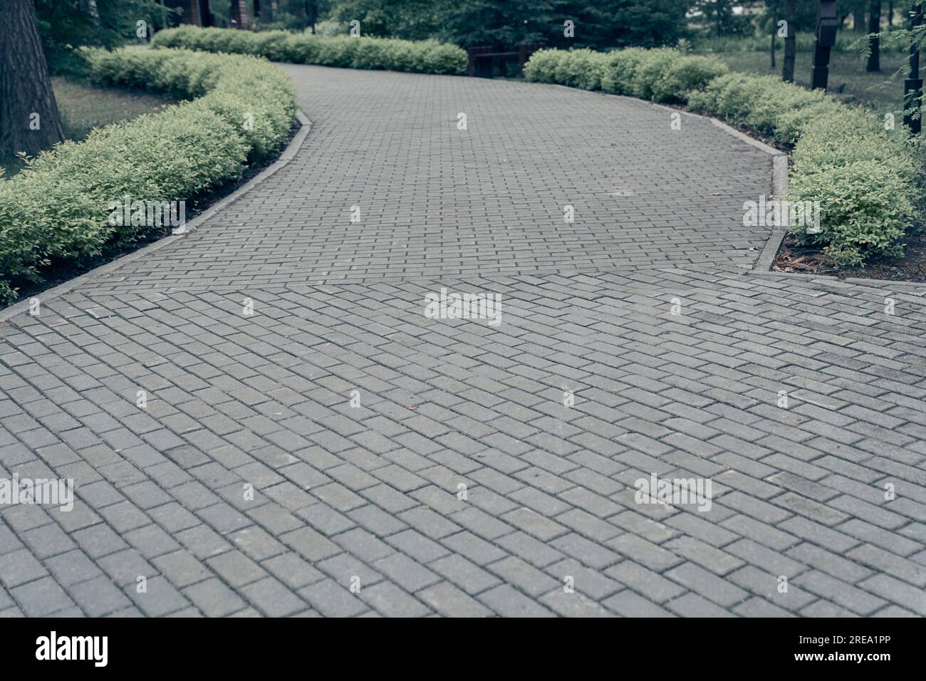 The texture of paving slabs with vegetation on the sides. Top view of the cobblestone pavement ...