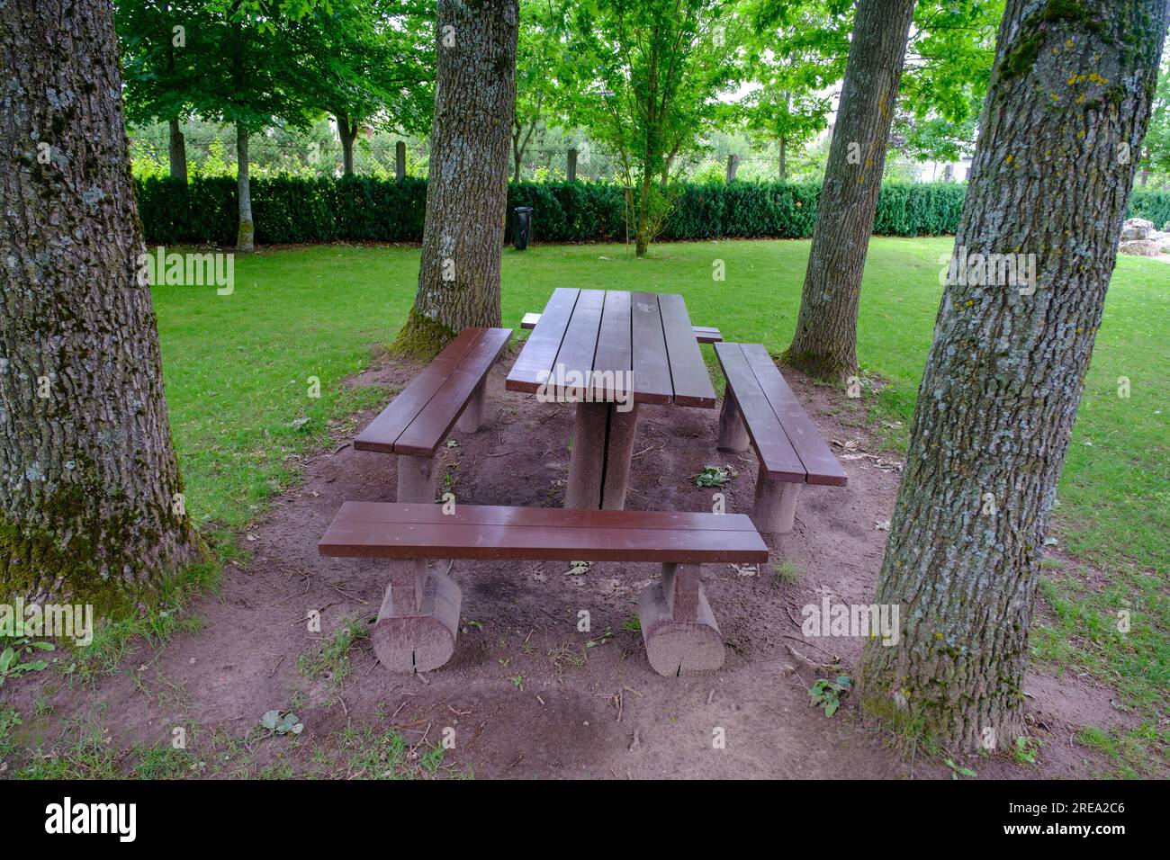wooden tables and benches among beautiful trees in the park. The table ...