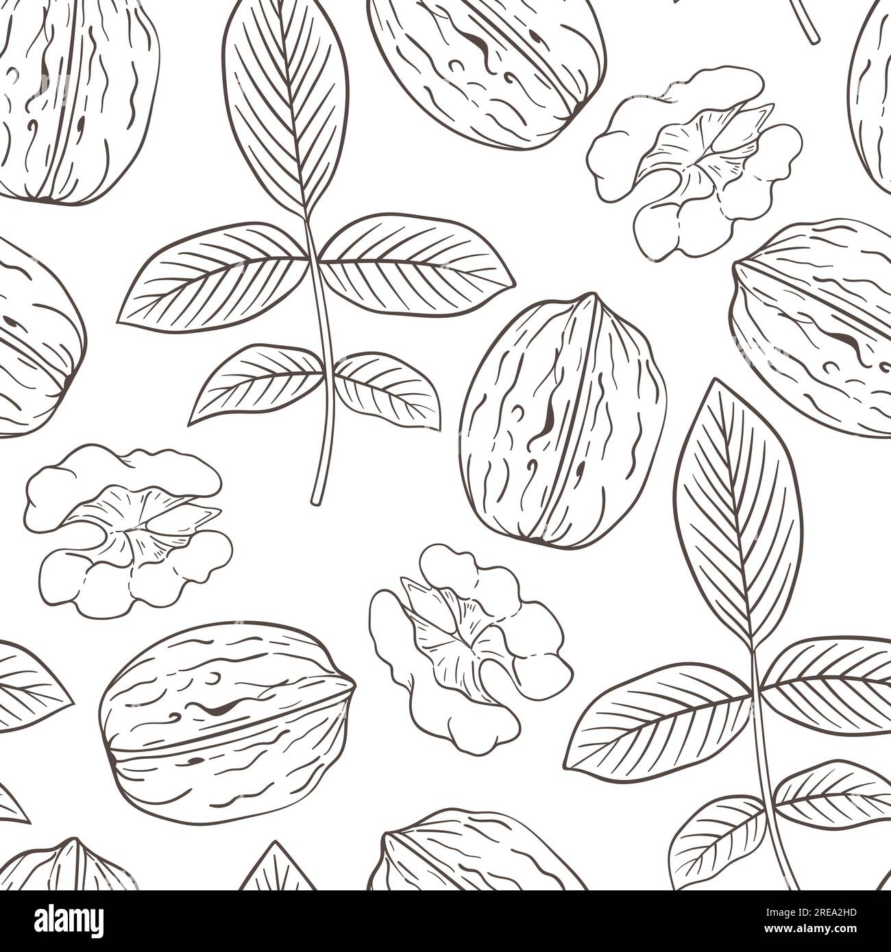 Nuts seamless background walnut Cut Out Stock Images & Pictures - Alamy