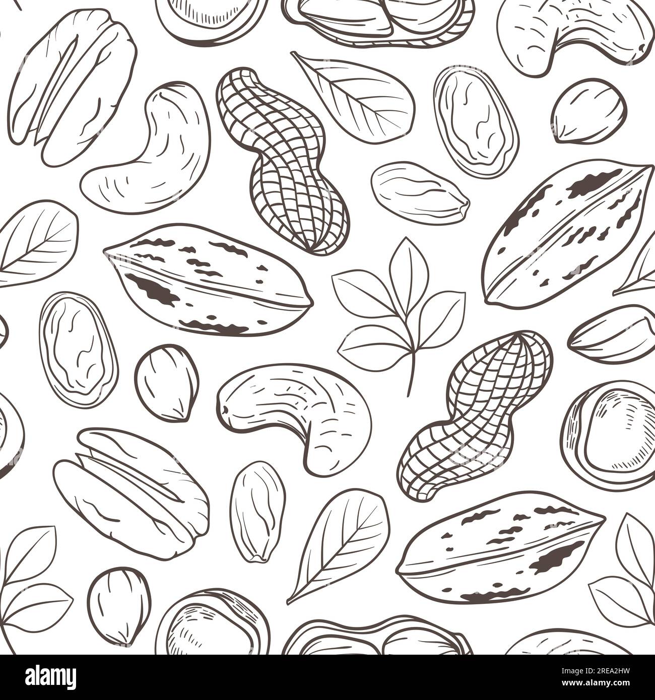 Hand drawn seamless pattern with pecan nuts, cashew and peanuts ...