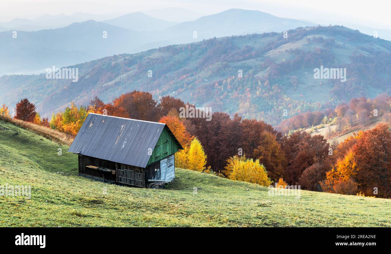 Old red cabin green hi-res stock photography and images - Alamy