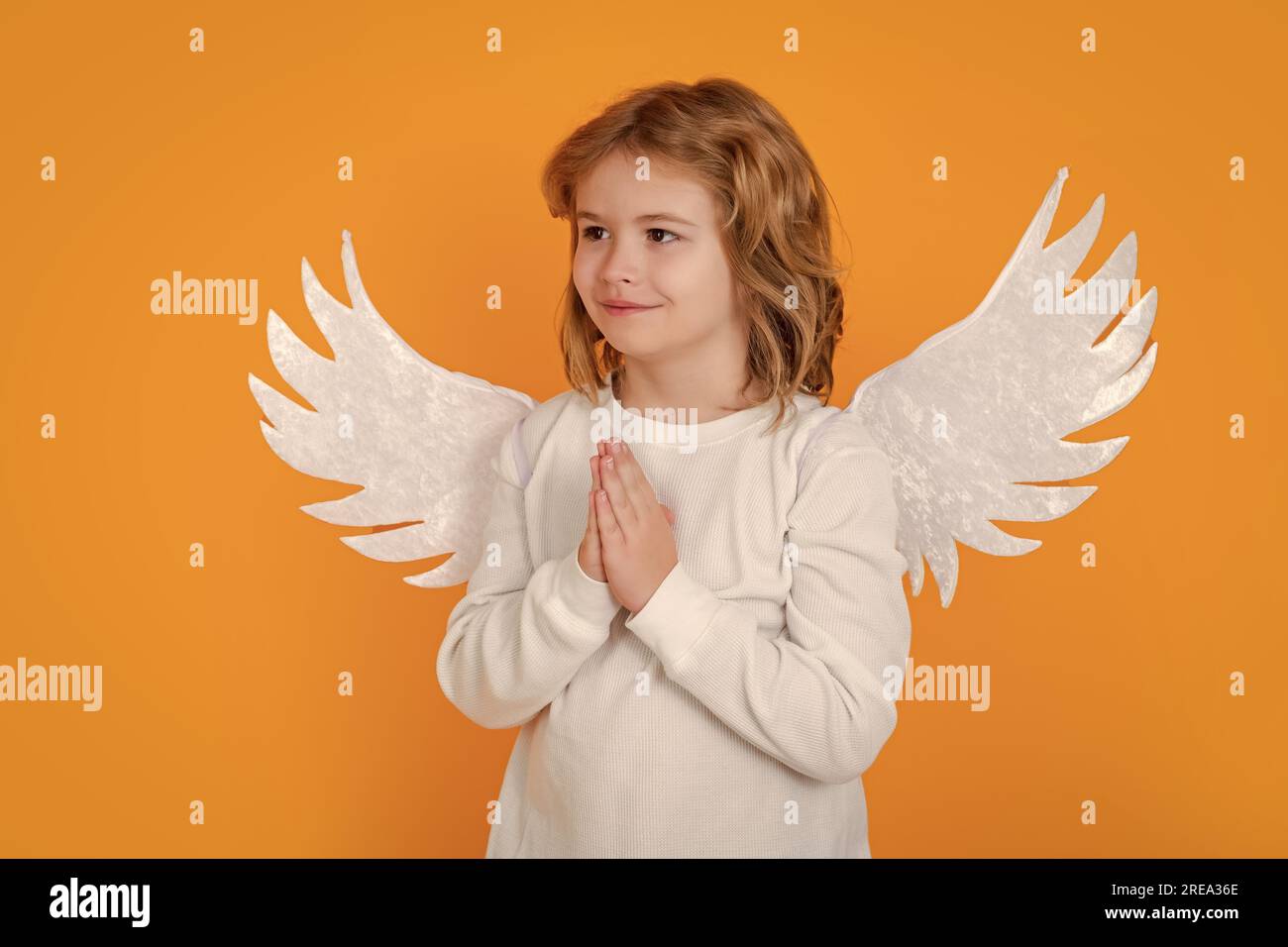 Cute angel child, studio portrait. Angel kid with angels wings ...