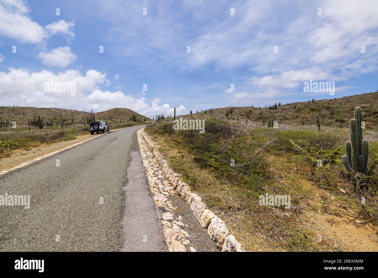 Beautiful view of off-road truck on asphalt road stone desert of ...