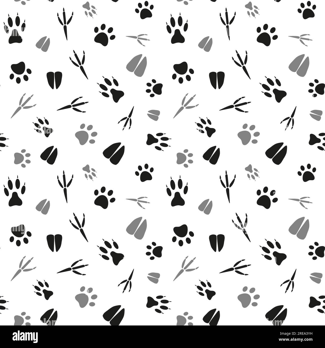 Various birds walk Stock Vector Images - Alamy