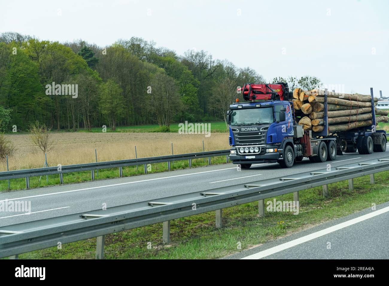 Dresden, Germany - April 24, 2023: Timber truck transports cut trees from the forest along the ...