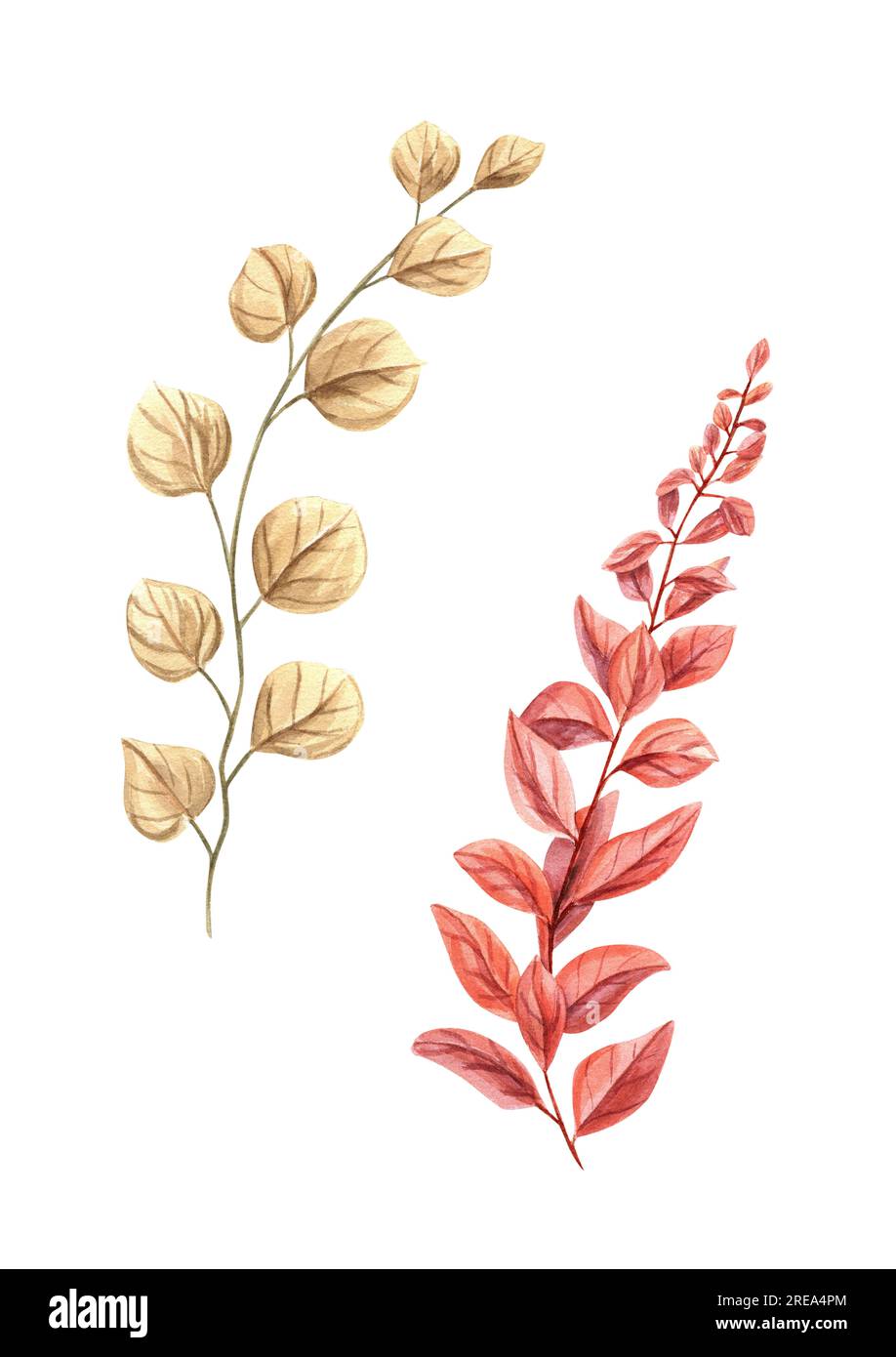 Set of watercolor abstract autumn branch. Yellow, terracotta leaves ...