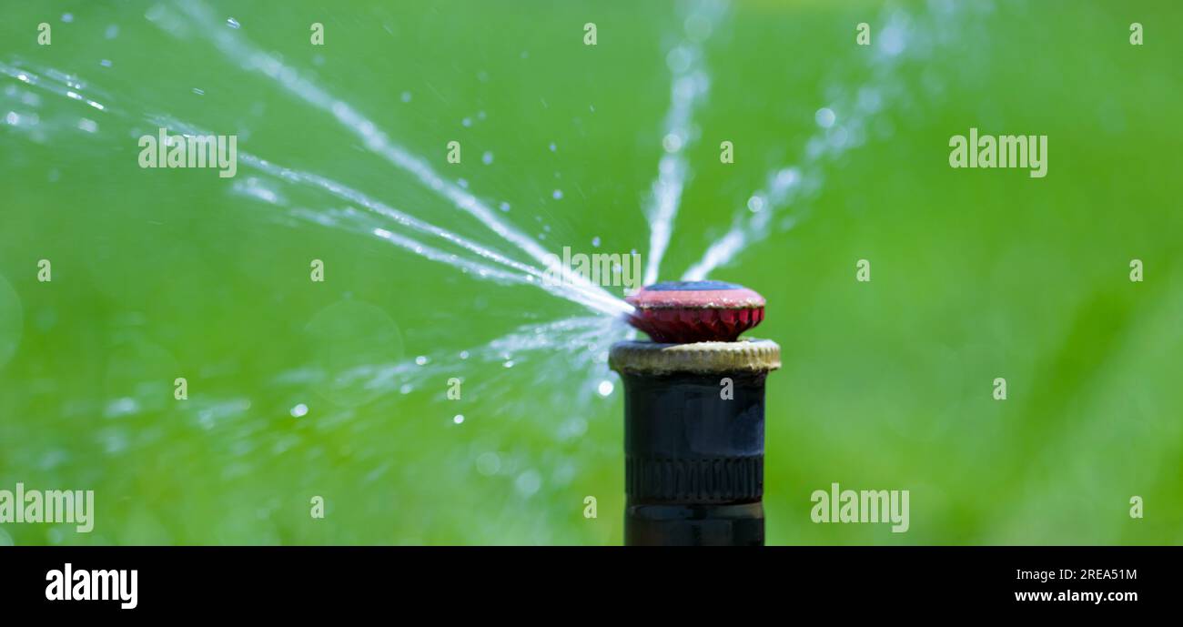 Irrigation system in home garden. Automatic lawn sprinkler watering ...