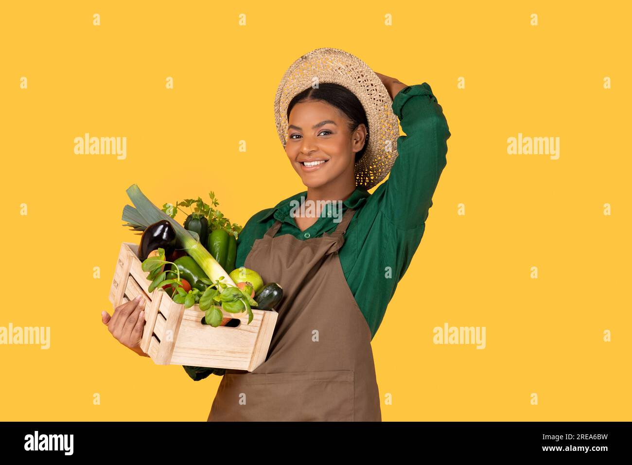 Black Farmer Lady Posing With Vegetables In Box, Yellow Background ...