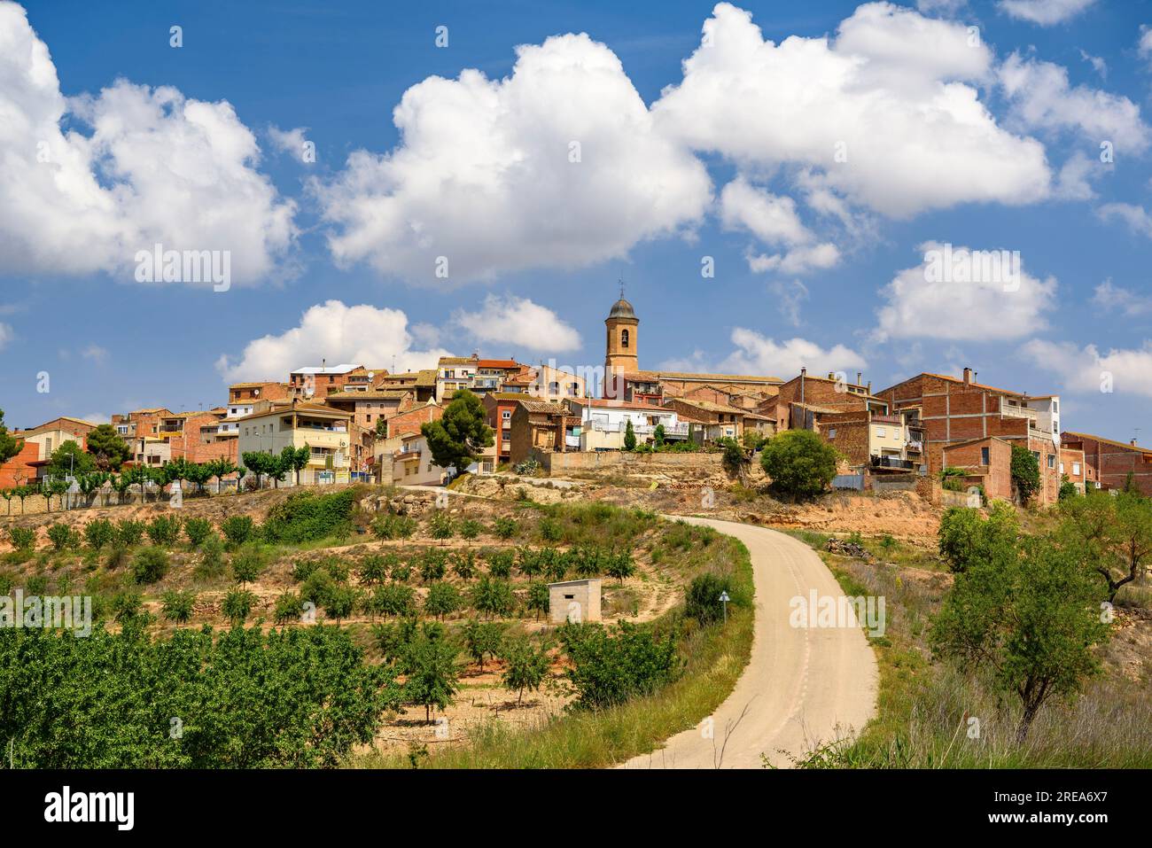 árboles en una colina hi-res stock photography and images - Alamy