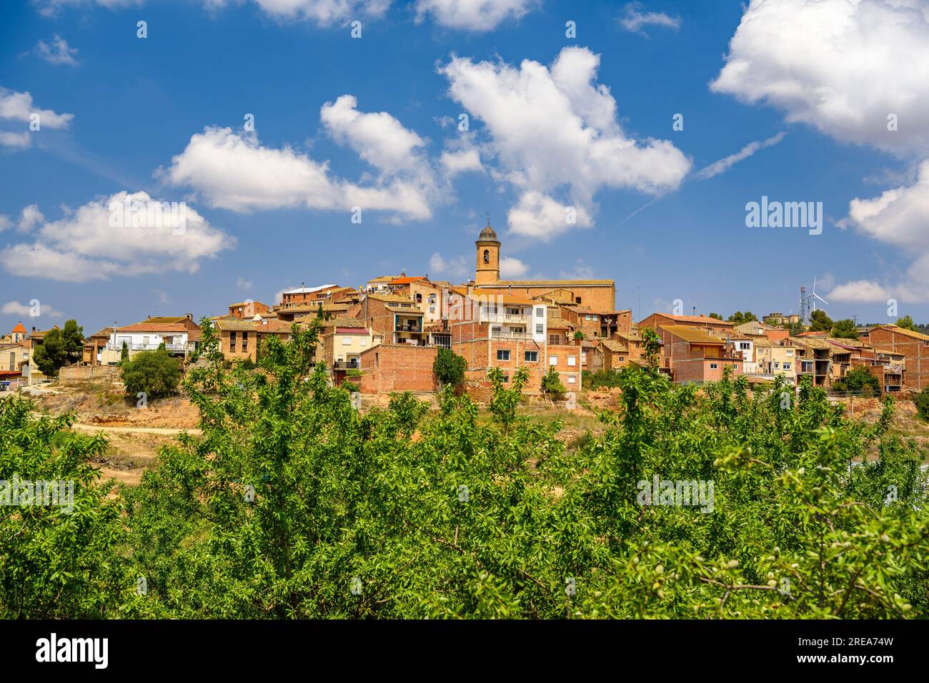 árboles en una colina hi-res stock photography and images - Alamy
