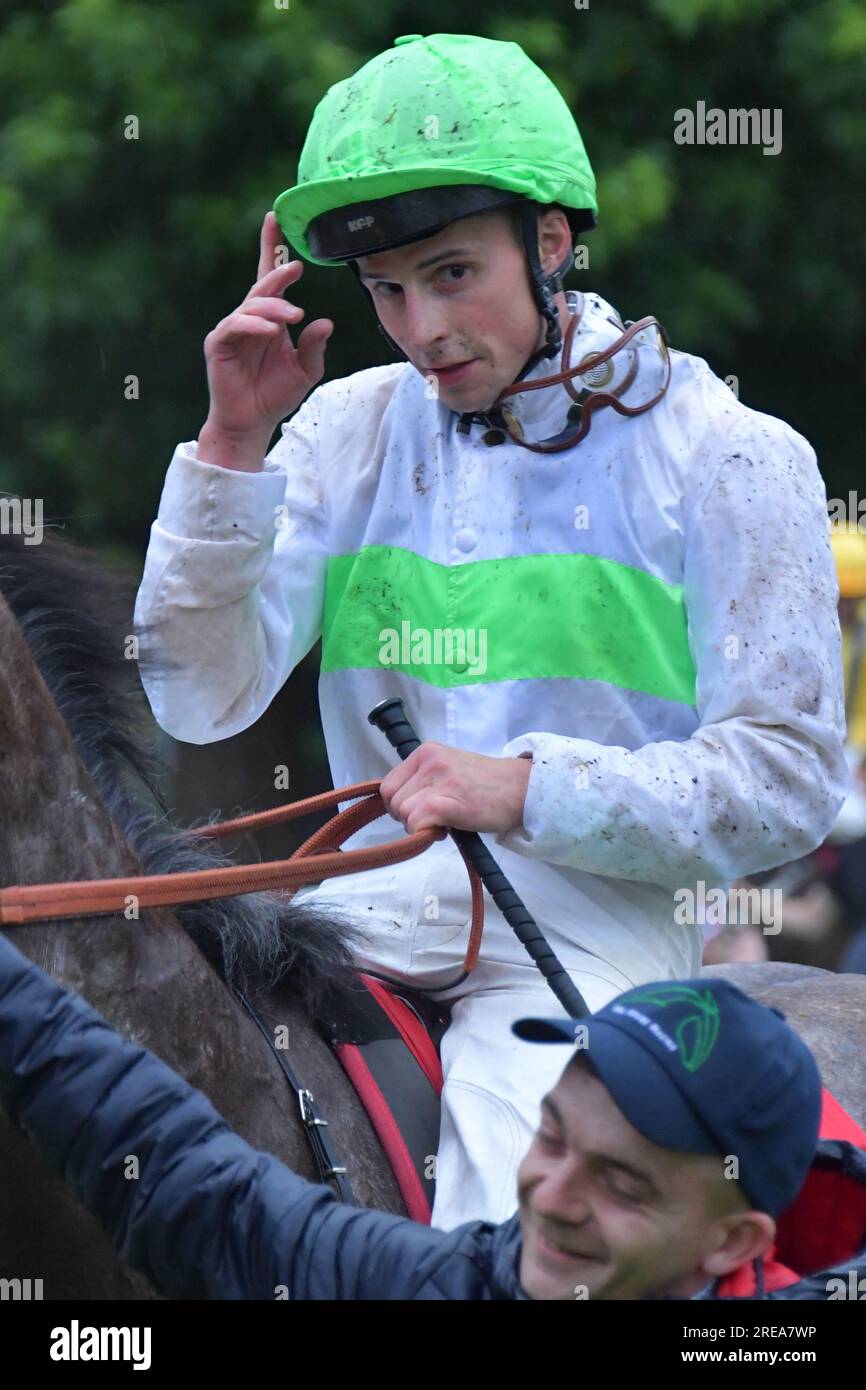 Gallant lion hi-res stock photography and images - Alamy