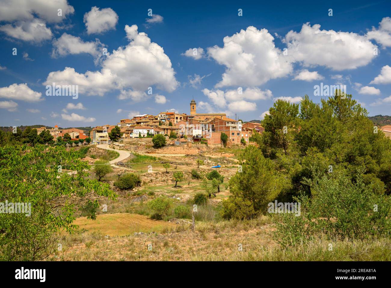 árboles en una colina hi-res stock photography and images - Alamy