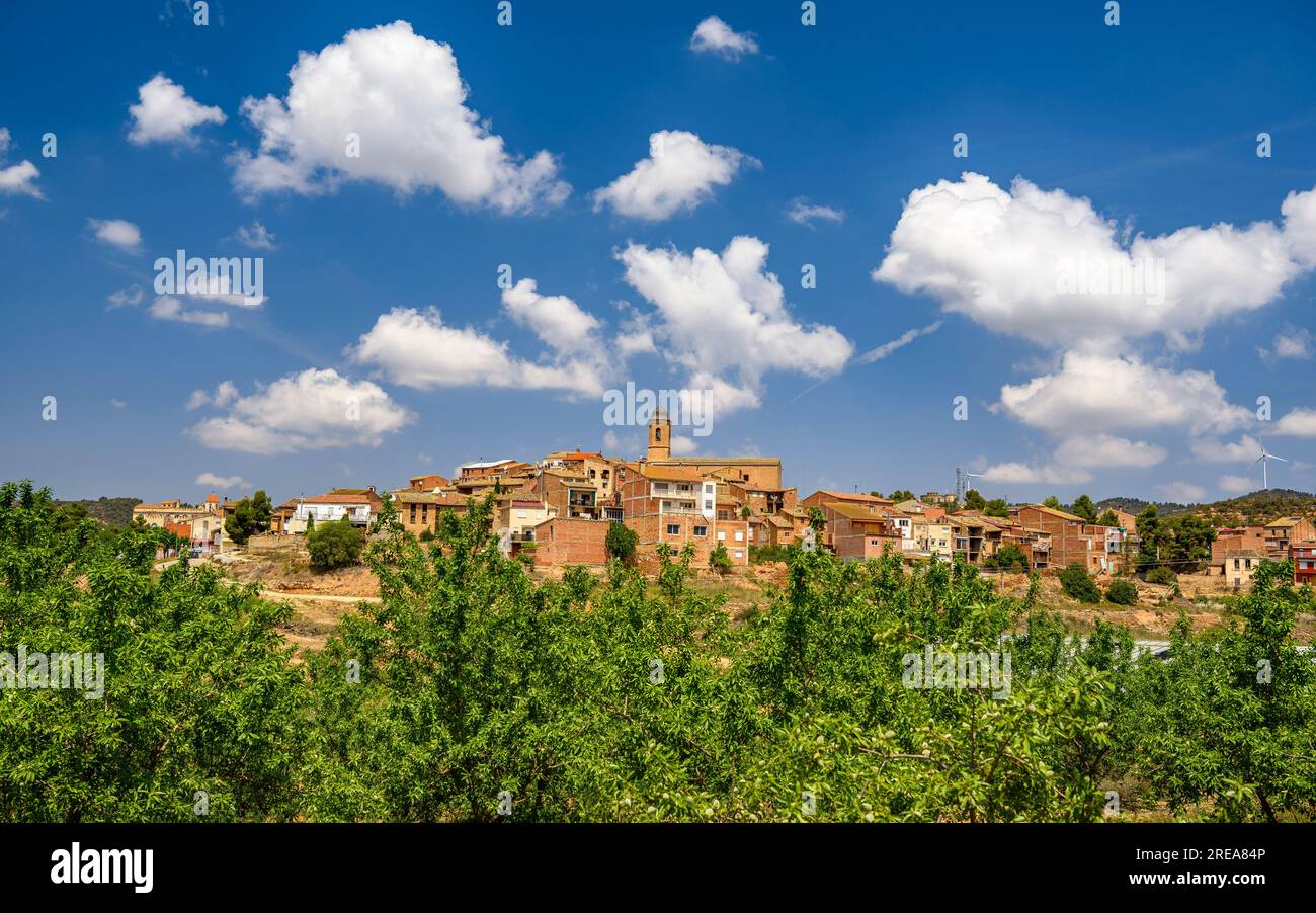 árboles en una colina hi-res stock photography and images - Alamy
