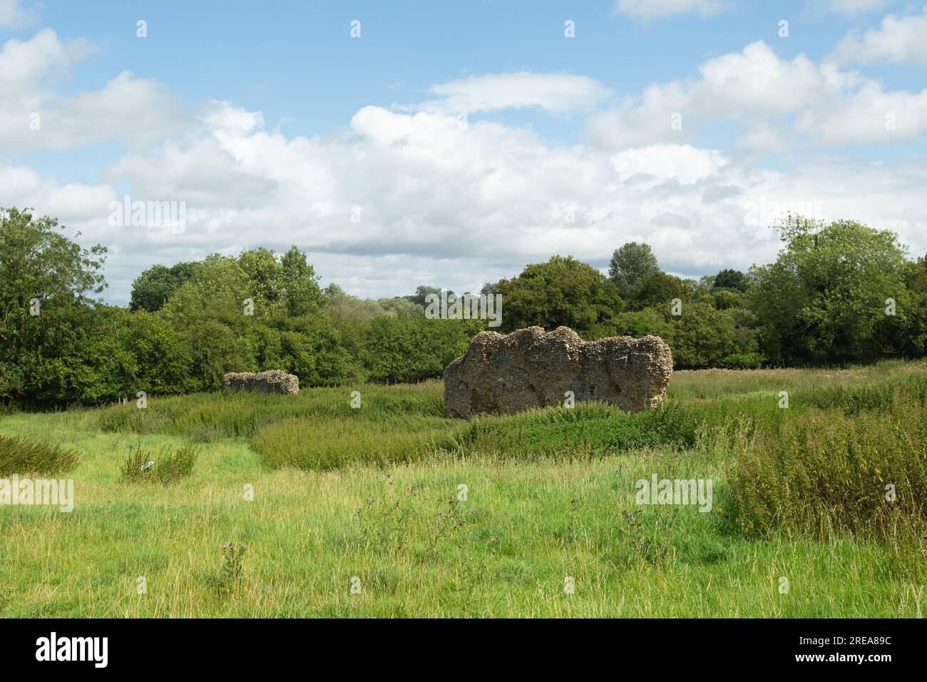 Ruined remains of a former Cistercian Abbey, Tilty Abbey founded in ...