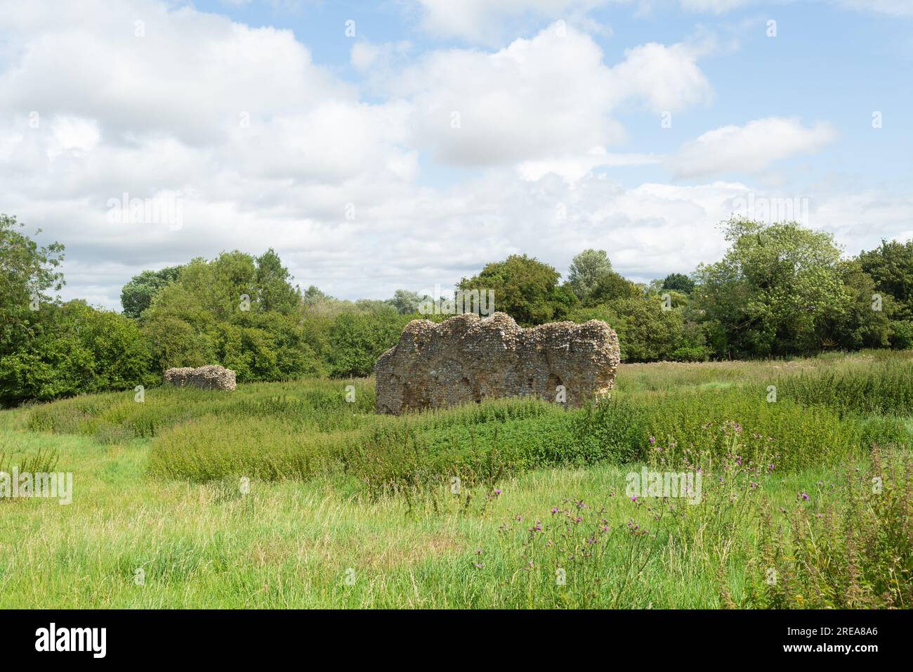 Ruined remains of a former Cistercian Abbey, Tilty Abbey founded in ...