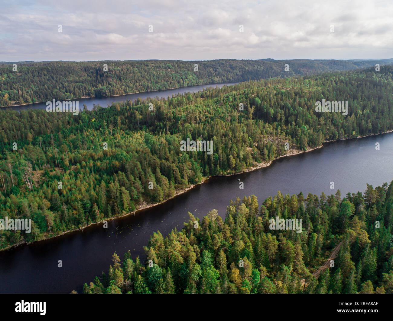 Lake Ragnerudssjoen in Dalsland Sweden beautiful nature forest pinetree ...