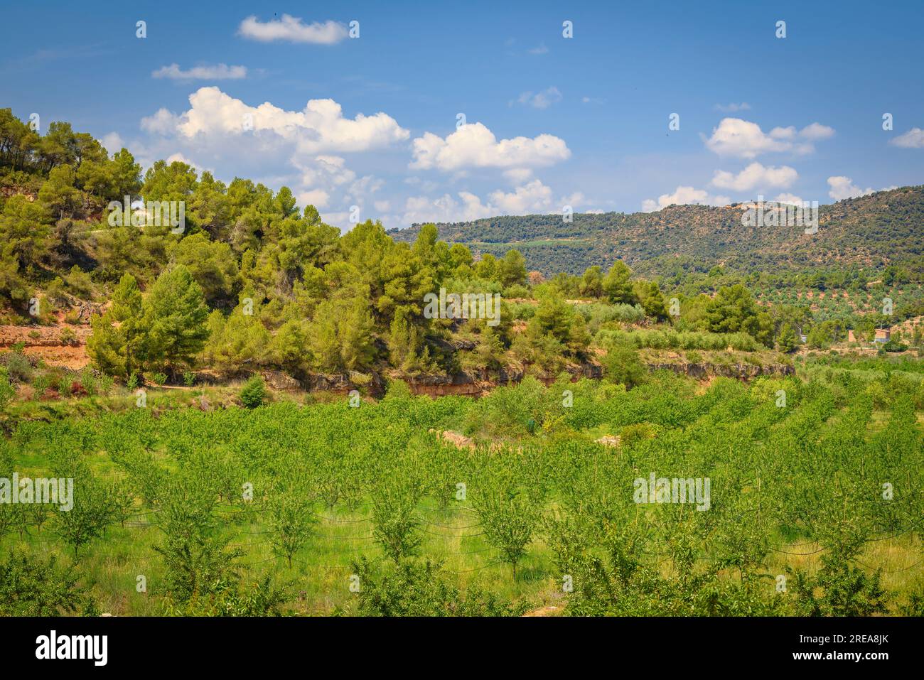 Buen lado hi-res stock photography and images - Alamy