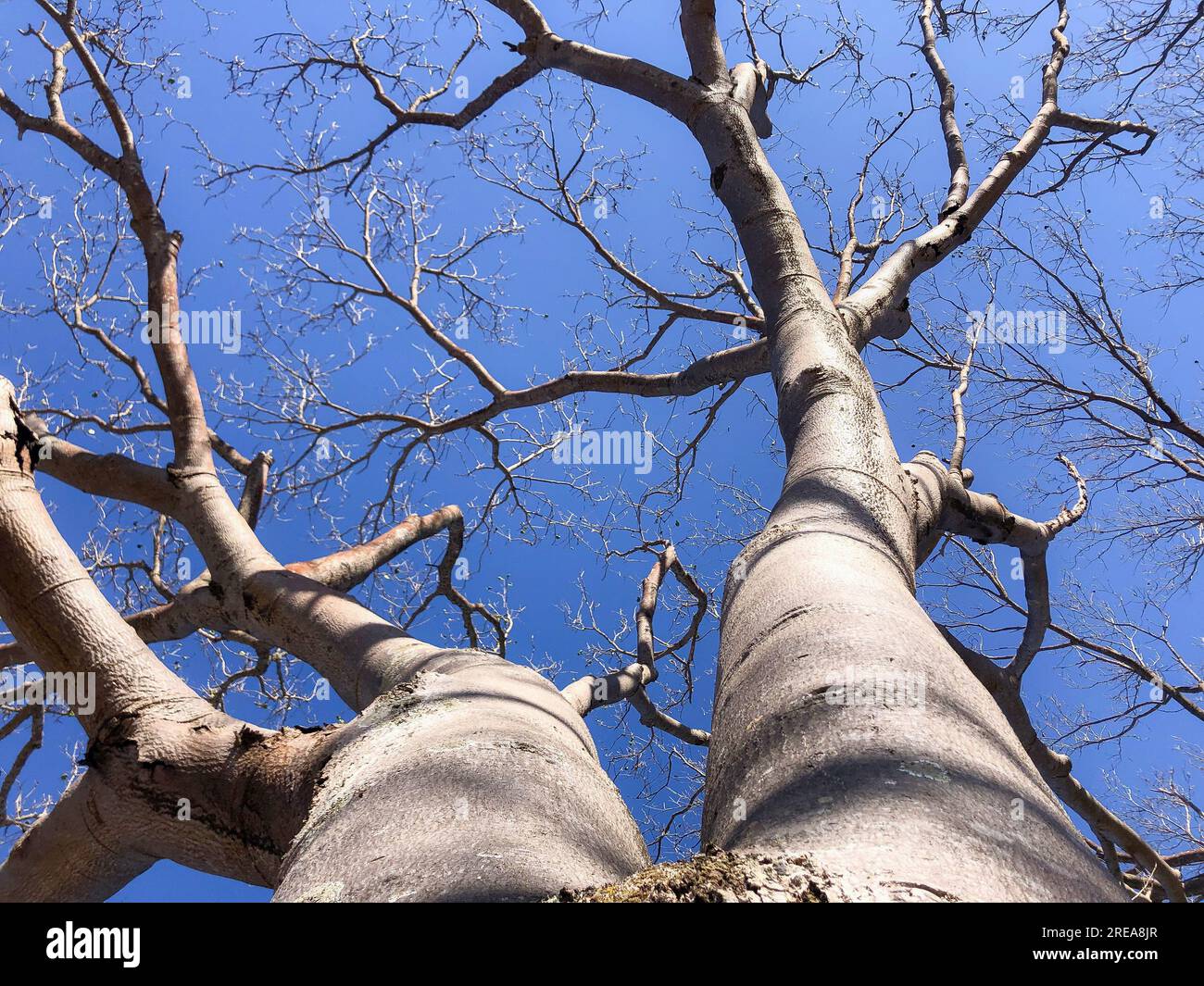 Beautiful natural landscape with idyllic scenery for background Stock ...