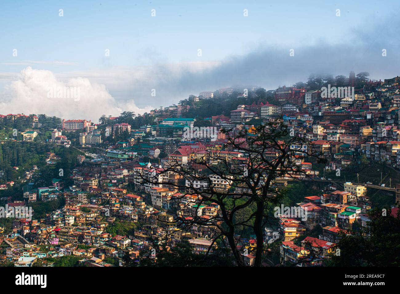 Skyline Shimla city in Himachal Pradesh, India. Natural beauty of ...