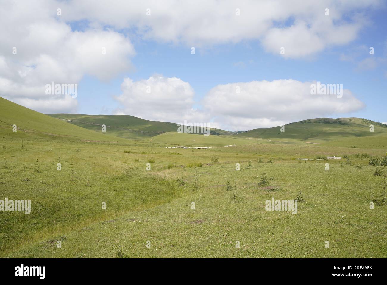 beautiful nature landscape plateau and meanders, background wallpaper ...