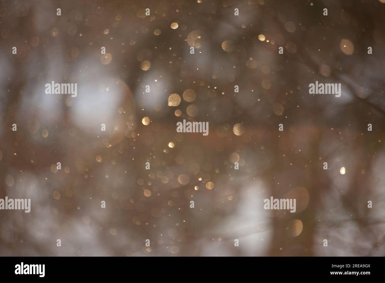 Snow Macro Shooting. Snow glitters in sun. Solar texture. Winter ...