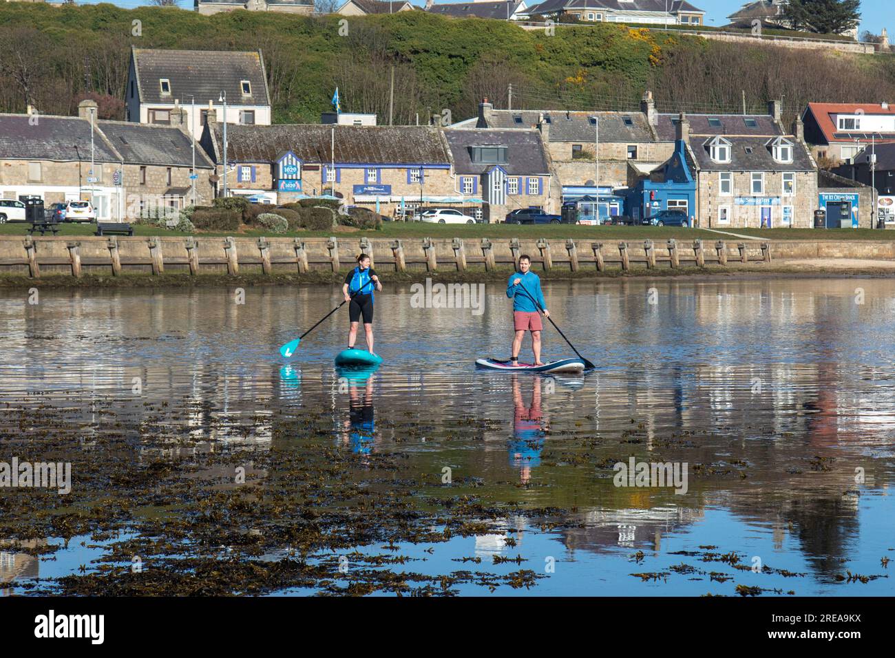 Male and female young couple on paddle boards on still water by the ...