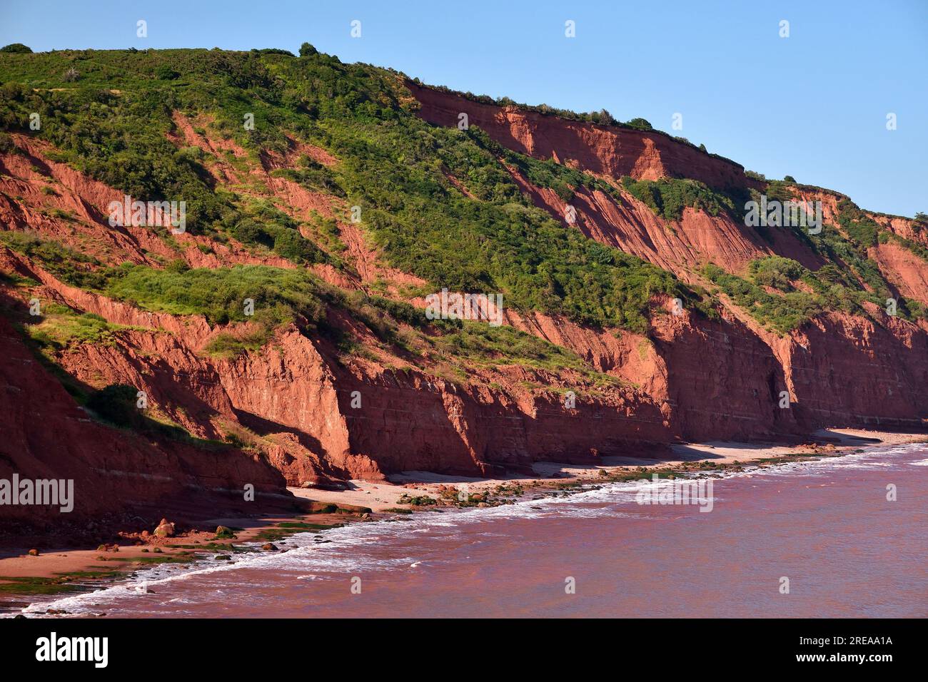 Sandy bay exmouth devon hi-res stock photography and images - Alamy