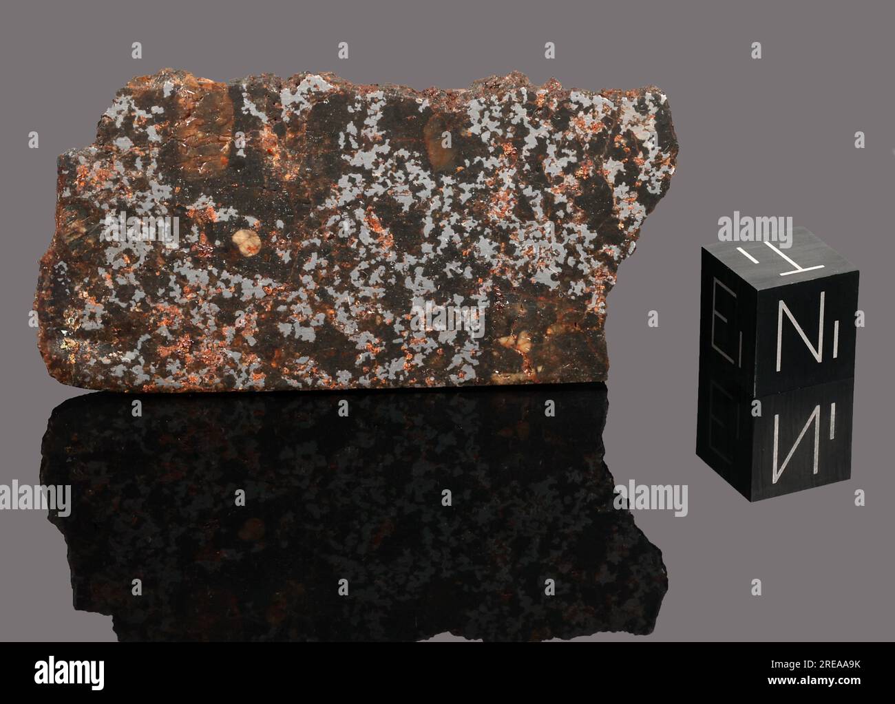 LAMONT - Found 1965, recognized 1995, Lamont, Kansas, USA. Mesosiderite ...