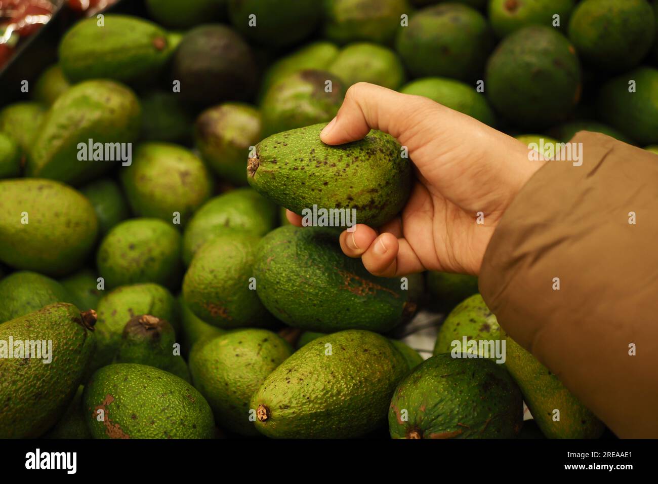 many avocado display for sale at local store Stock Photo - Alamy