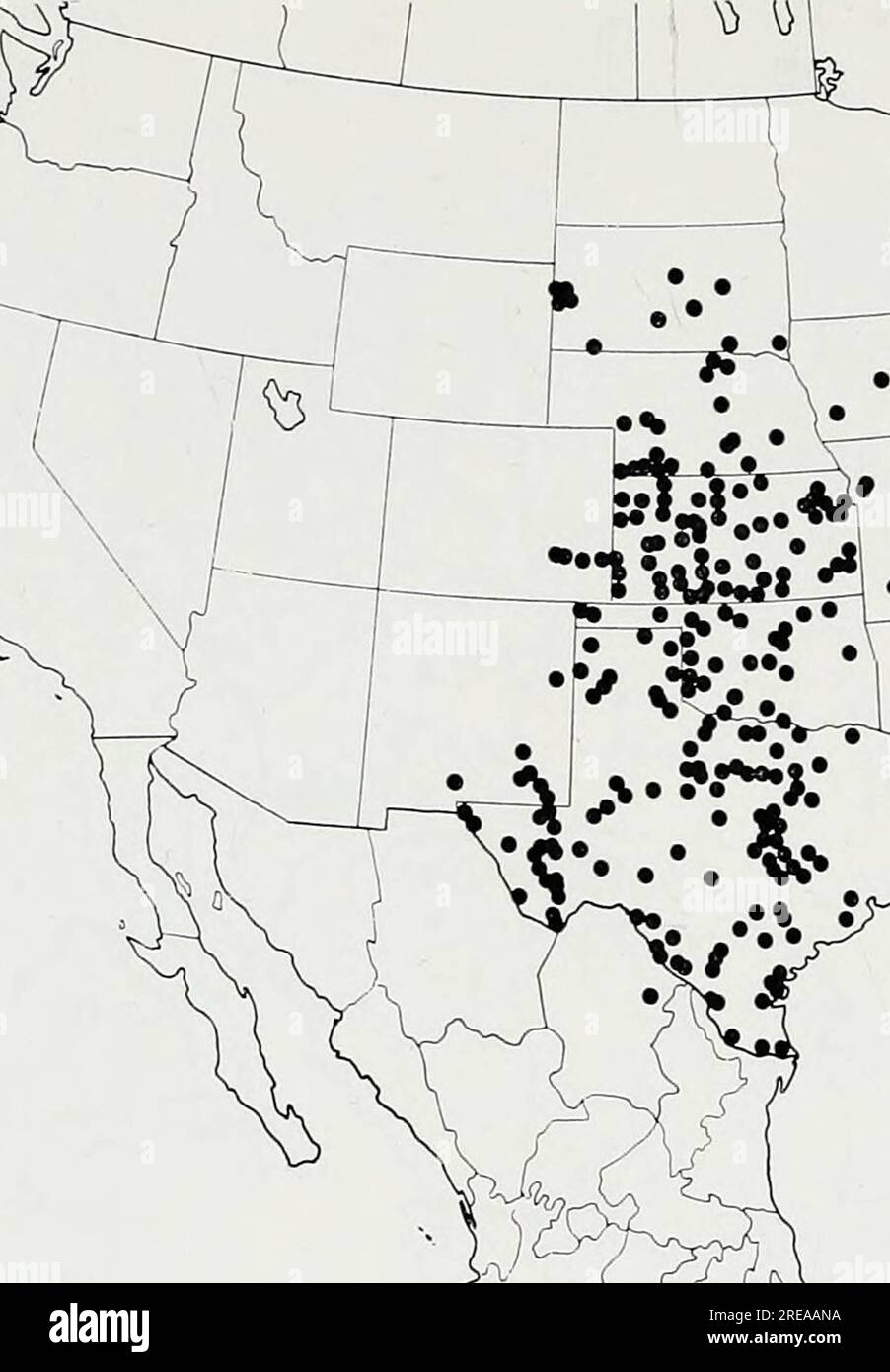 "Ecology, behavior, and adult anatomy of the Albida Group of the genus ...