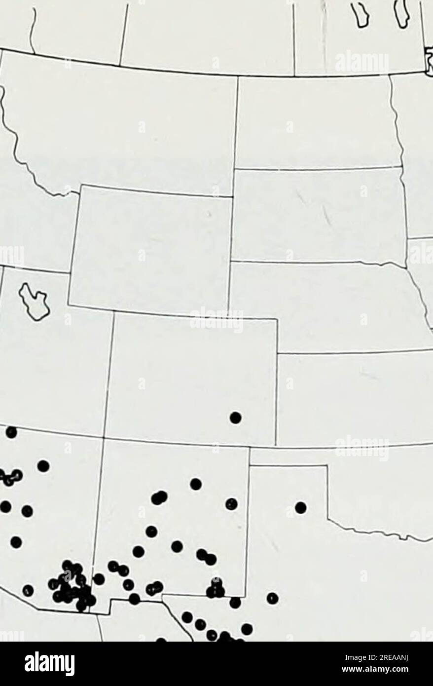 "Ecology, behavior, and adult anatomy of the Albida Group of the genus ...