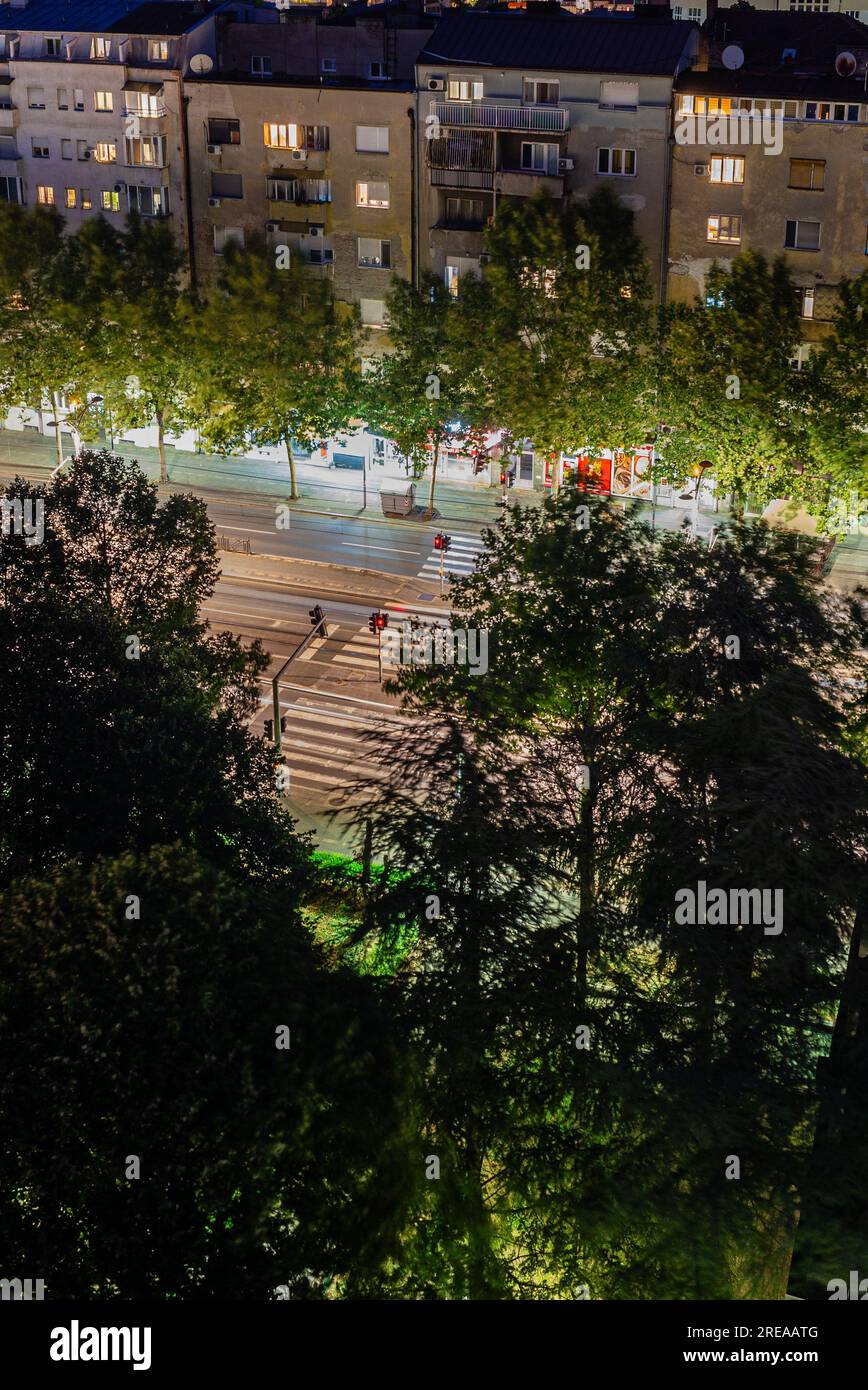 Night shot and view on the street, trees and city lights Stock Photo ...