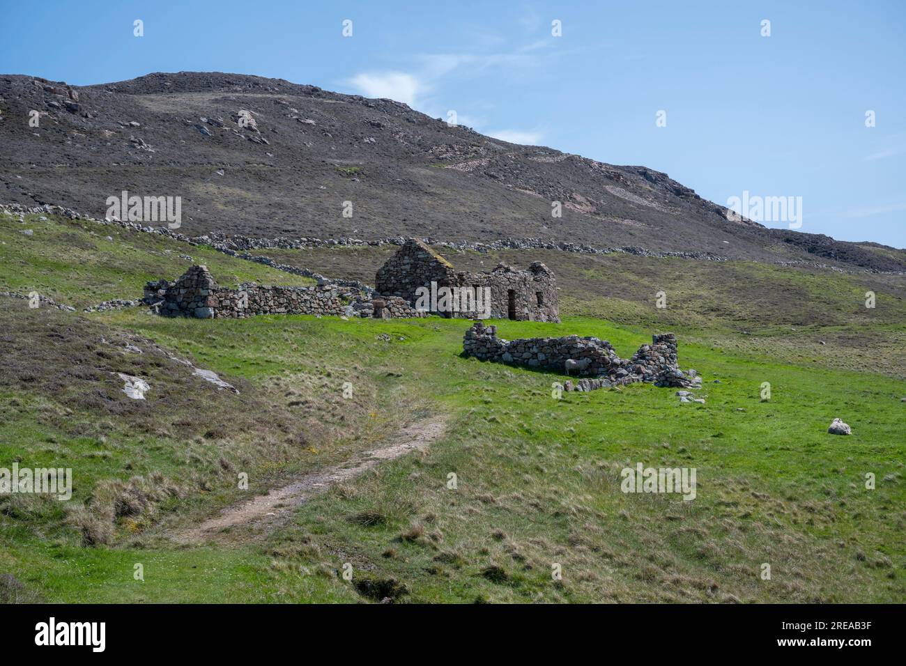 Hams of muckle roe hi-res stock photography and images - Alamy
