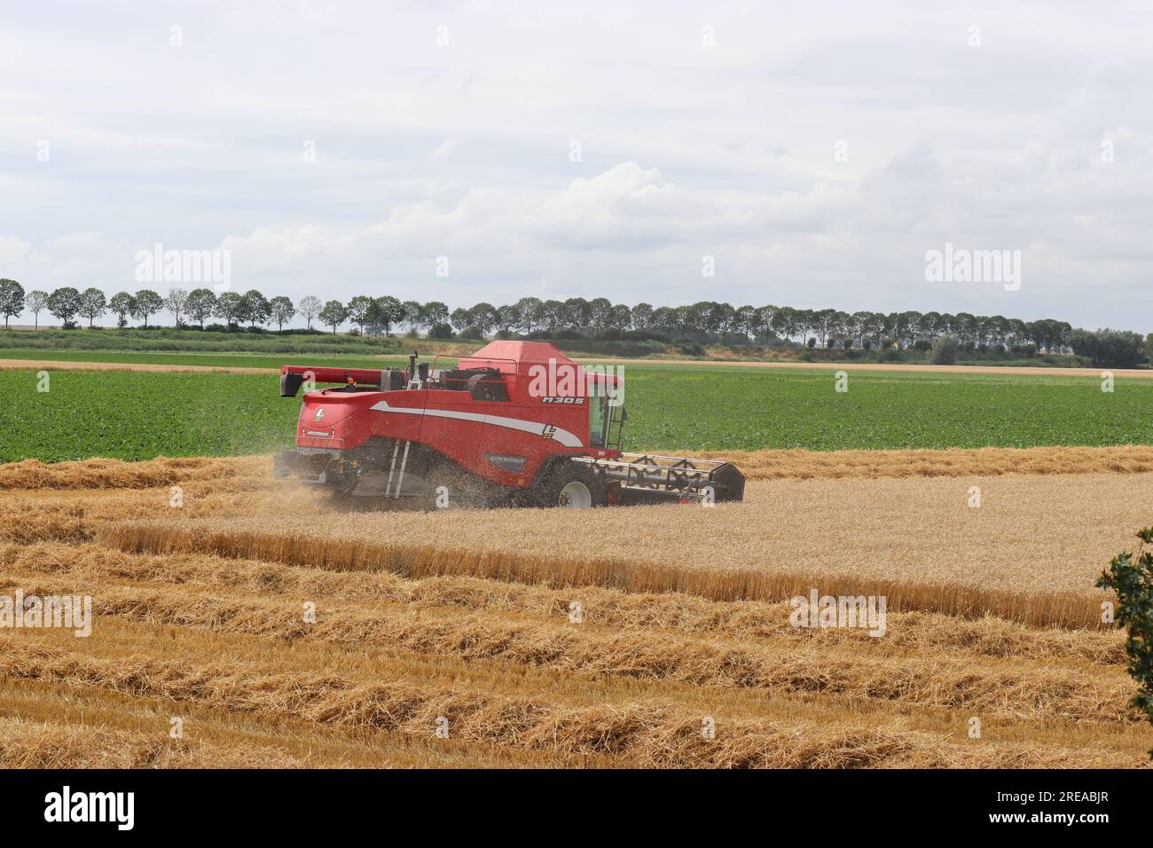 a red laverda combine harvester is driving in a grain field in the ...