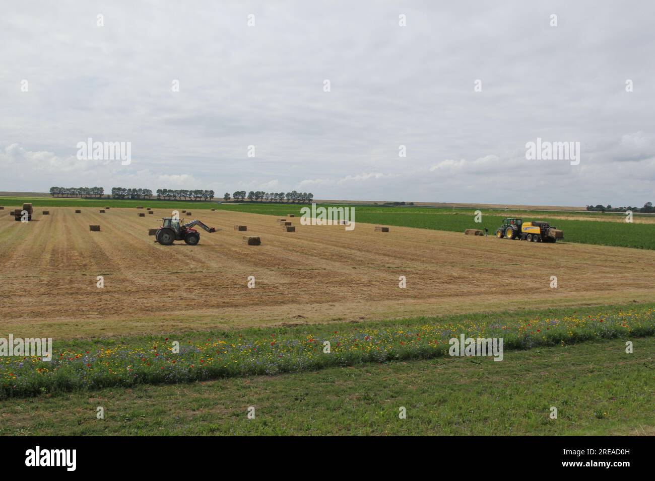 a beautiful rural landscape in summer with a baler and a tractor with a ...