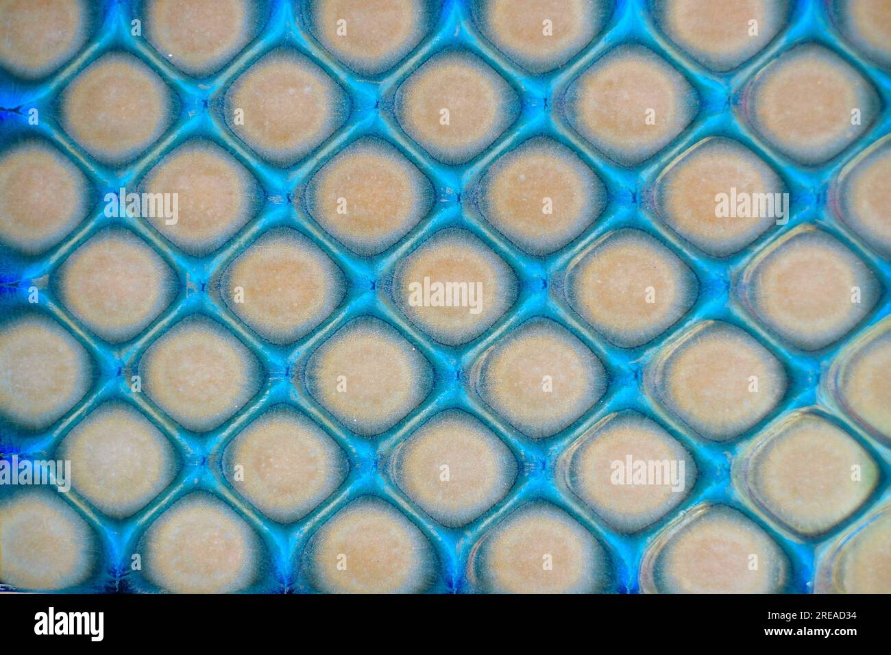 Abstract blue and salmon pink background with rhomboid pattern Stock ...