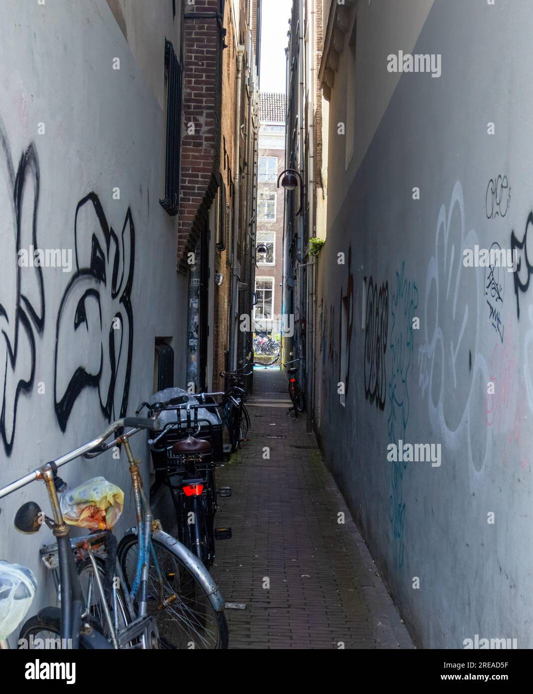 Very narrow alley in the streets of Amsterdam with graffiti and ...