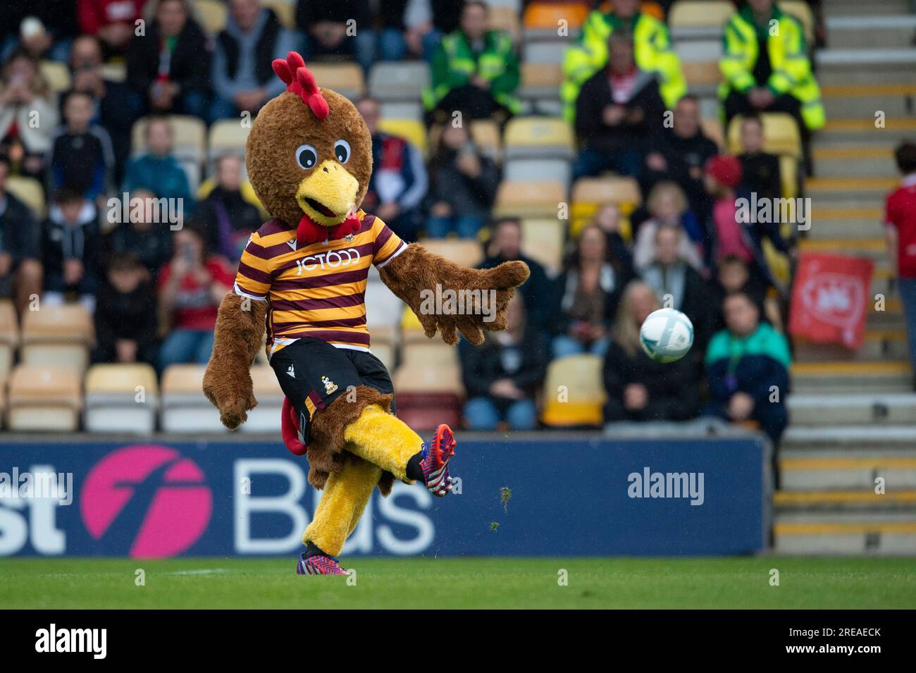 Middlesbrough mascot hi-res stock photography and images - Alamy