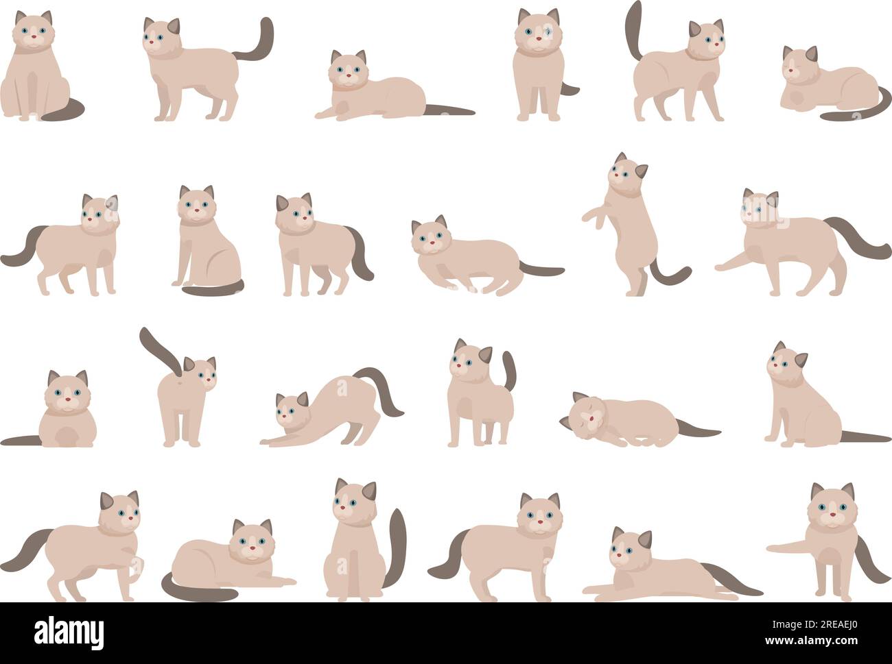 Ragdoll icons set cartoon vector. Nature animal. Cat breed Stock Vector ...
