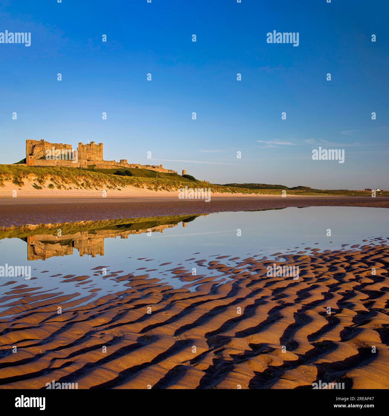 A view of Bamburgh Castle and Bamburgh beach at dawn in summer on the ...