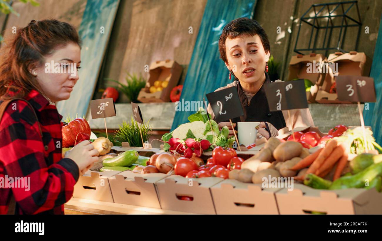 Happy local vendor selling bio organic apples to woman client, farmer ...