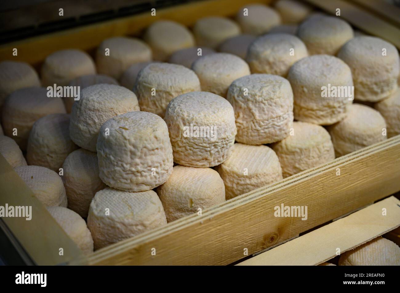 Cheese collection, soft goat French cheese with mold crottin de ...