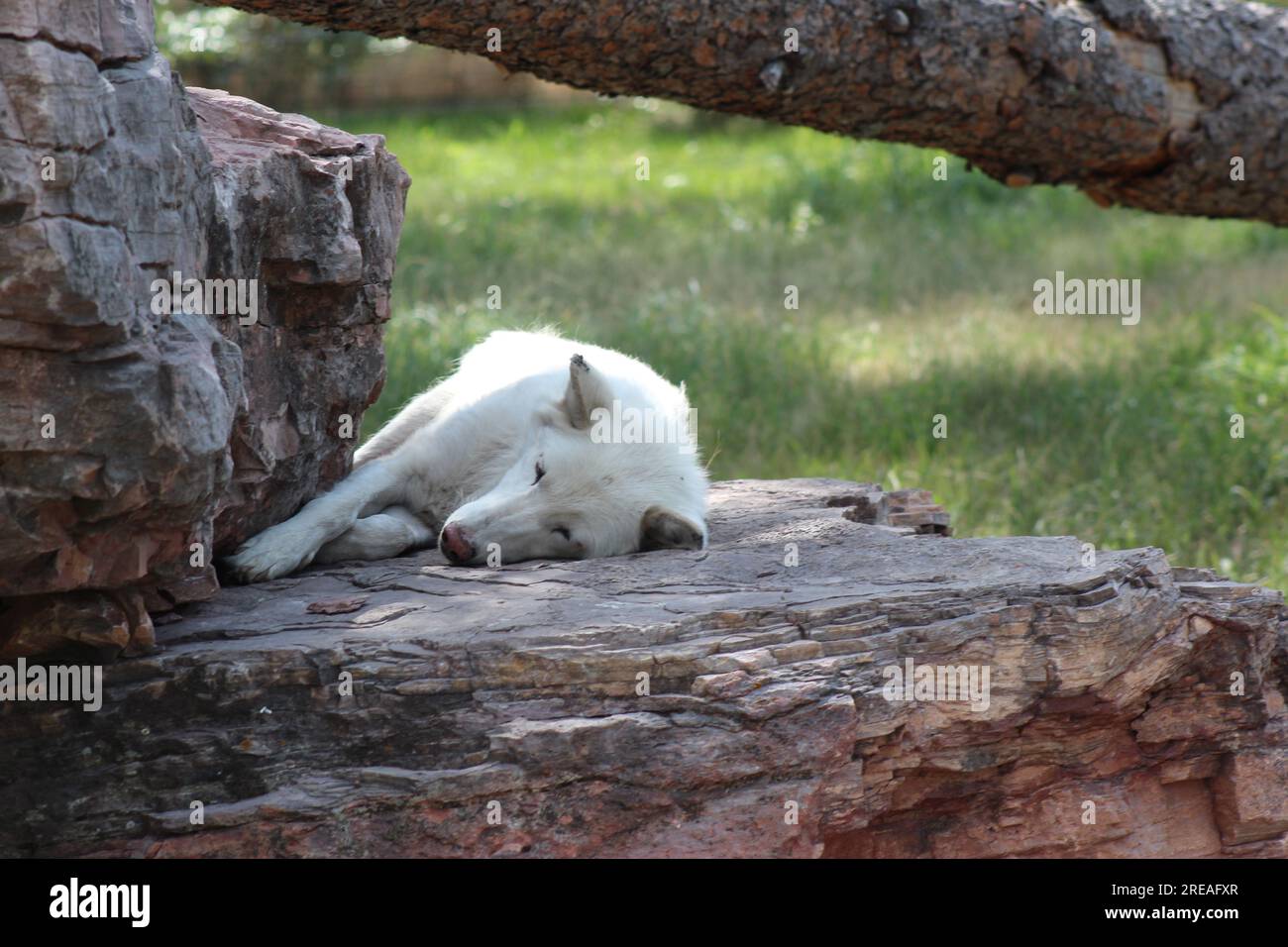 White summer rocks under hi-res stock photography and images - Alamy