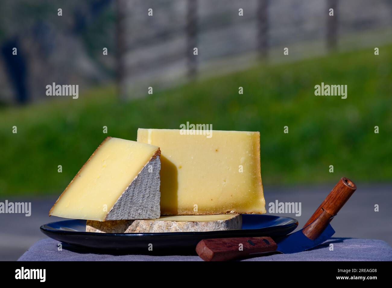 Cheese collection, French cow cheese comte, beaufort, abondance and ...