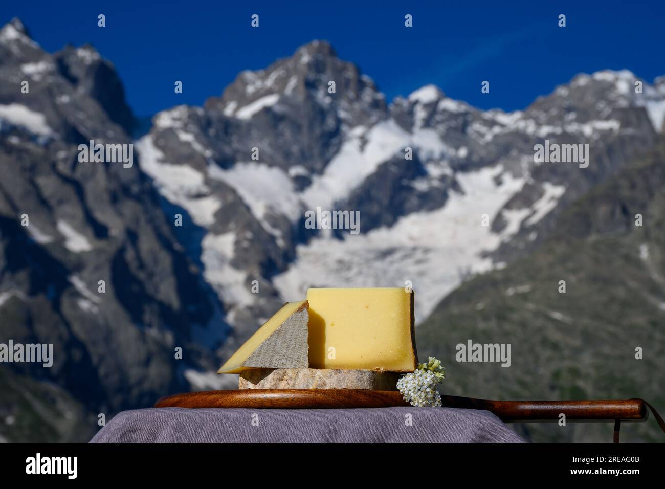 Cheese collection, French cow cheese comte, beaufort, abondance and ...