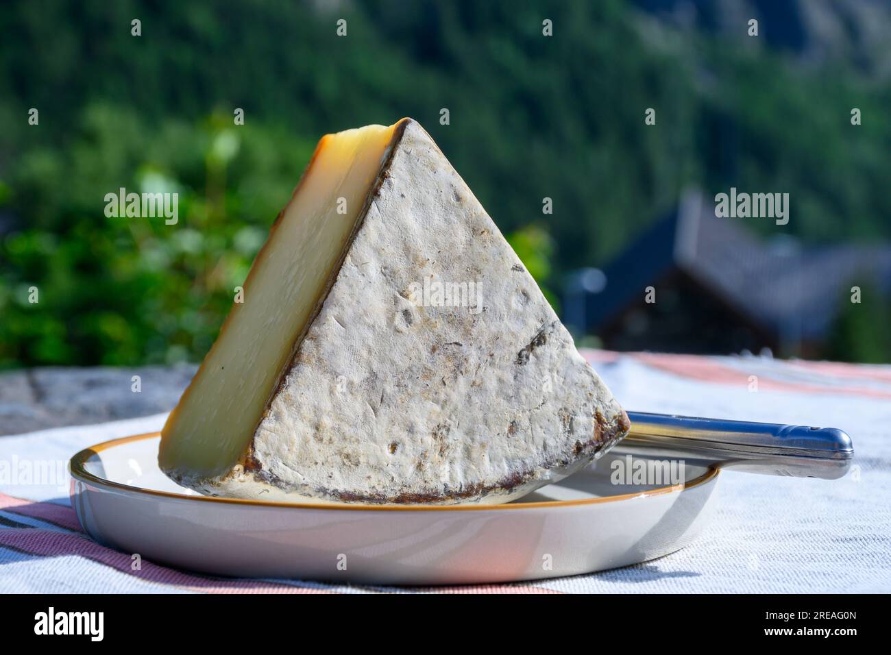 Cheese collection, Tomme de Savoie cheese from Savoy region in French ...