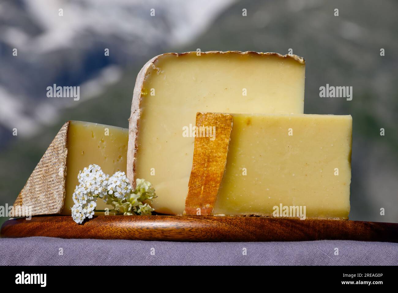 Cheese collection, French cow cheese comte, beaufort, abondance and ...