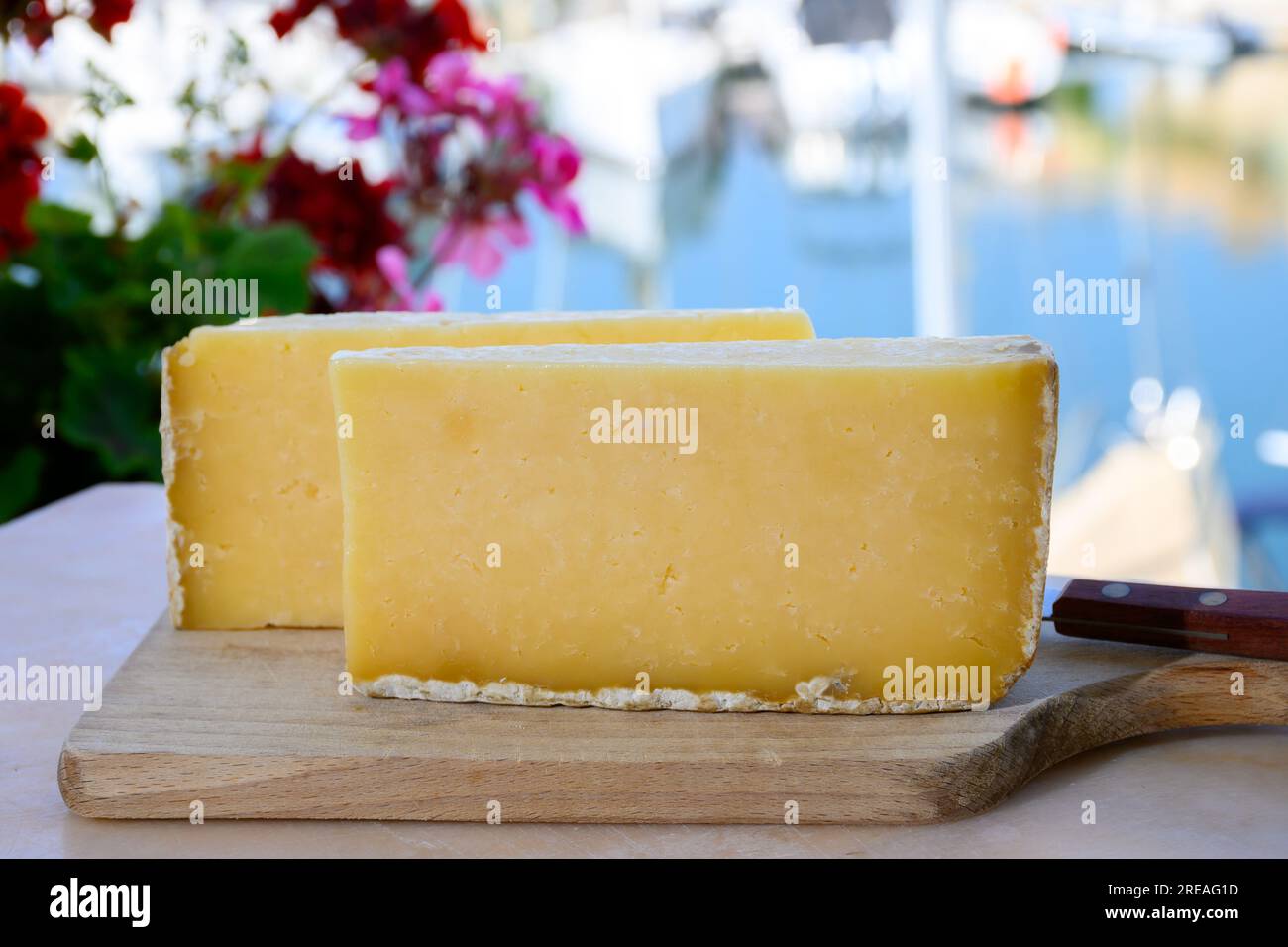 Cheese collection, hard French cheese old cantal fermier made from raw ...