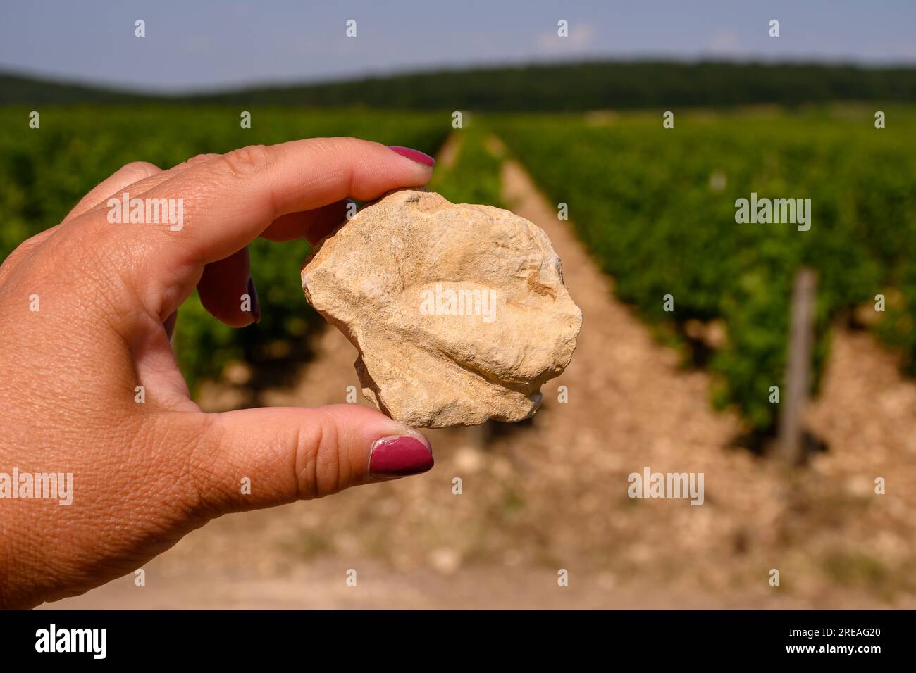 Terres blanches white soils hi-res stock photography and images - Alamy